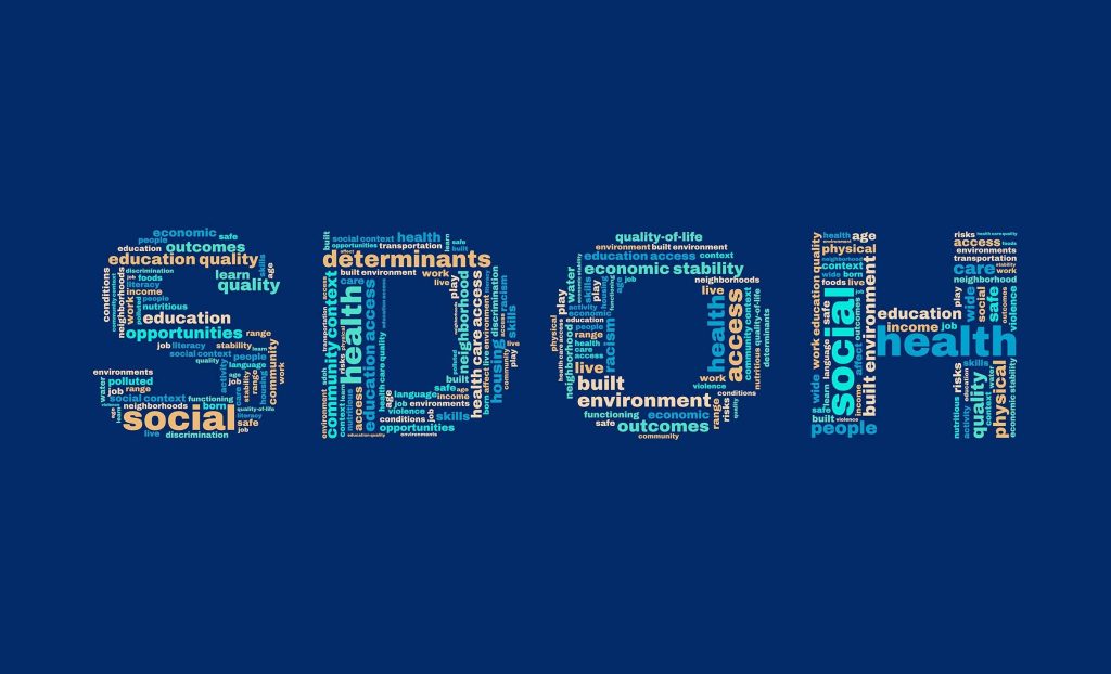 Standardizing SDOH Data in EHRs for Health Equity - DistilINFO ...